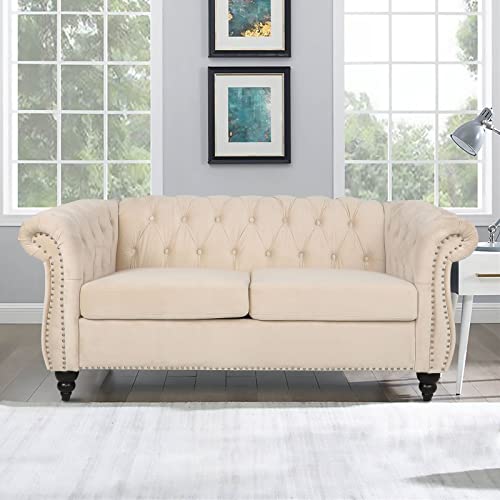 MIYZEAL Modern Chesterfield Loveseat, Velvet 2 Seater Couch Upholstered Sofa with Tufted Back, Roll Arm Classic Settee with Nailhead Trim for Living Room Bedroom (Beige)