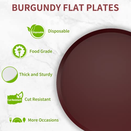 DYLIVeS 50 Count 7 inch Burgundy Paper Plates, Maroon Disposable Party Dessert Plates Flat Plates Round Food Serving Trays Platter, Birthday Party Supplies for Appetizers, Cake, Graduation, Holiday