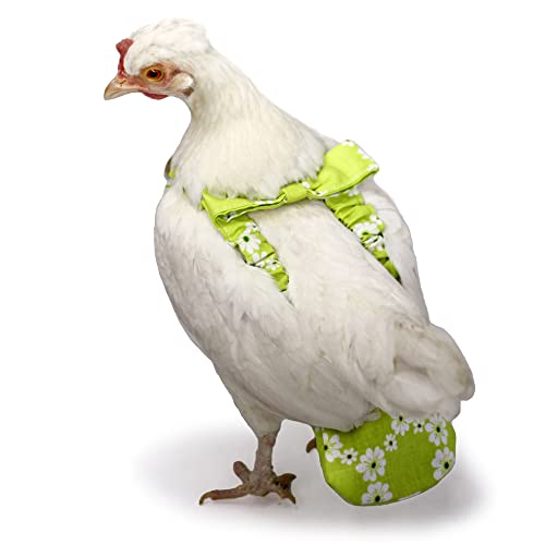 Washable Chicken Diapers for Hens or Roosters - Fashionable Nappy - Pet Chicken Diaper (Lavender Batik, Small)