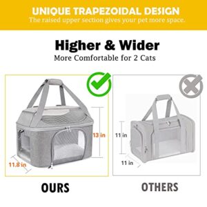 Bejibear Large Cat Carrier for 2 Cats, Oeko-TEX Certified Soft Side Pet Carrier for Cat, Small Dog, Collapsible Travel Small Carrier, TSA Airline Approved Carrier for Large Cats 20 lbs-Gray