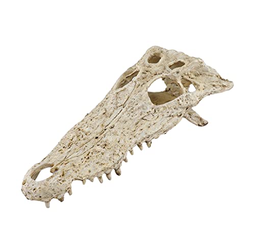 Crocodile Reptile Amphibian Skull Habitat Hide - Premium Non-Toxic Resin for Aquariums & Terrariums – Large Size