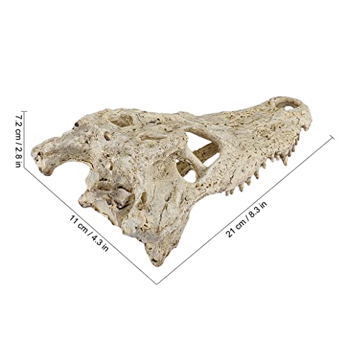 Crocodile Reptile Amphibian Skull Habitat Hide - Premium Non-Toxic Resin for Aquariums & Terrariums – Large Size