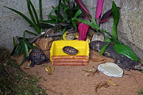 Faux Wood Ramp and Food Bowl for Amphibians, Reptiles and Other Little Critters, Made from Premium Non-Toxic Resin - Large Size