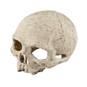 Half Skull Reptile Amphibian Habitat Hide – Premium Non-Toxic Resin for Aquariums & Terrariums – Large Size