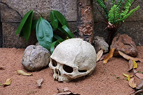 Half Skull Reptile Amphibian Habitat Hide – Premium Non-Toxic Resin for Aquariums & Terrariums – Large Size