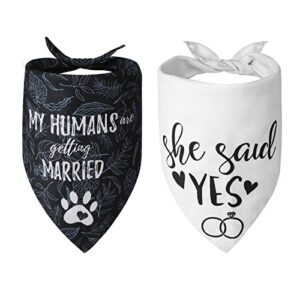 dog engagement announcement, will you marry my daddy dog bandana, dog of honor bandana wedding, wedding engagement photos pet scarf accessories for small medium large dog (white+black)