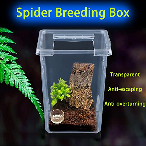 4 Pcs Insect Spider Terrariums Breeding Box Hatching Container Small Reptile Arboreal Spider Mantis Scorpion Centipede Acrylic Breeding Box