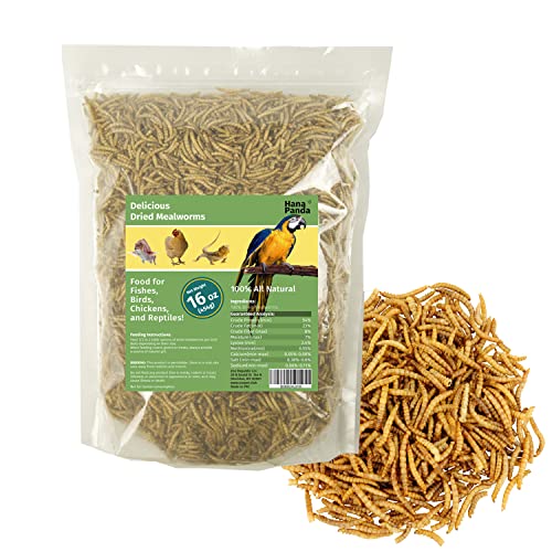 Hana Panda 100% Natural Dried mealworms High Protein Mealworms for Wild Birds, Chicken Treats, Fish & Reptiles,Hamsters and Hedgehogs All Natural Animal Feed