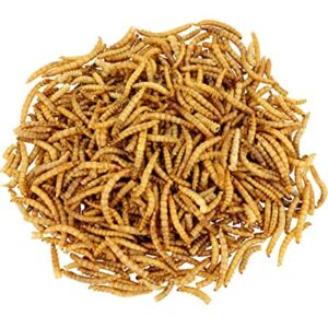 Hana Panda 100% Natural Dried mealworms High Protein Mealworms for Wild Birds, Chicken Treats, Fish & Reptiles,Hamsters and Hedgehogs All Natural Animal Feed