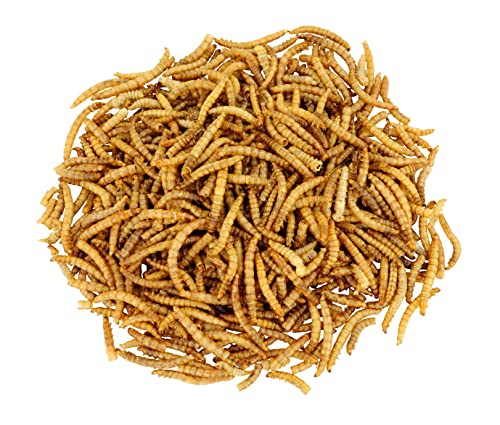 Hana Panda 100% Natural Dried mealworms High Protein Mealworms for Wild Birds, Chicken Treats, Fish & Reptiles,Hamsters and Hedgehogs All Natural Animal Feed