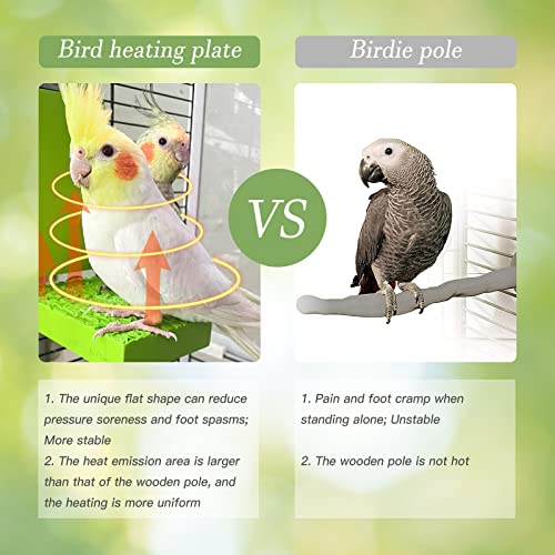 GIFANK Bird Heater for Cage Bird Perch Stand Warmer Snuggle Up for African Grey, Parakeets, Parrots, Small Birds 12V 3.3"x6"