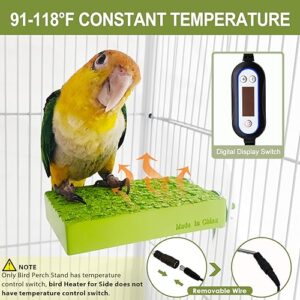 GIFANK Bird Heater for Cage Bird Perch Stand Warmer Snuggle Up for African Grey, Parakeets, Parrots, Small Birds 12V 3.3"x6"