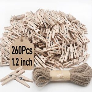 mini clothes pins, 260 pcs small wooden clothes pins with jute twine, clothespins, clothes pins for photos crafts diy project