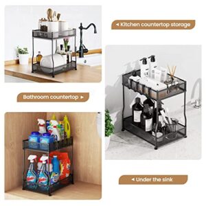 PHINOX Reinforced Metal Organizers and Storage with 4 Hooks, 2 Tier for Under Cabinet/Sink, Kitchen, Bathroom