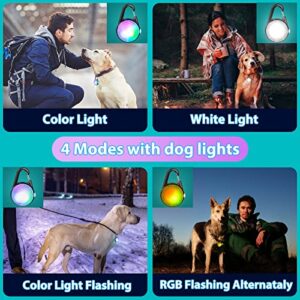 Dog Collar Lights for Night Time, 4 Modes Dog Collar Light Rechargeable Led Light for Dog Collar, IP68 Waterproof Dog Light for Night Walking, Safety Dog Collar Lights for Night Time Clip On (Black)