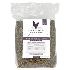 nest box queen black soldier fly larvae - calcium rich treats for laying hens - 5 lb