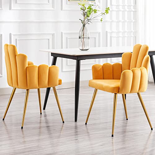 HNY Velvet Accent Chair Set of 4, Finger Shape Upholstered Arm Chair, Mid Century Modern Living Room Dining Makeup Vanity Chairs, with Gold Metal Legs, Yellow