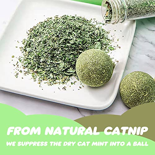 3 Pack Catnip Ball Toys, Squash Edible Cat nips Organic Balls, Catnip Ball Wall Mount, Crab Avocado Catnip Cat Toy for Cats Kittens Lick, Teeth Cleaning, Natural Effective Engaging Play (Blue)