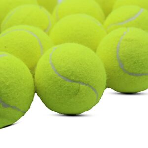 ZHUOKECE Tennis Balls, 18 Pack Training Tennis Balls Practice Balls with Mesh Bag for Easy Transport, Pet Dog Playing Balls, fit for Beginner Training Ball (Green)