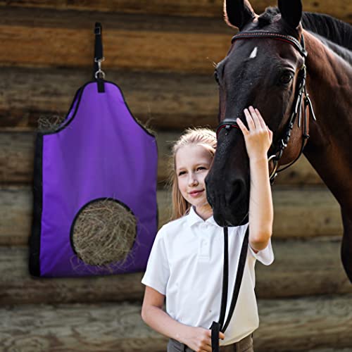 HIRQUITICKE Premium Durable Horse Slow Feed Hay Bag with Metal Snap Fastener and Heavy Adjustable Strap