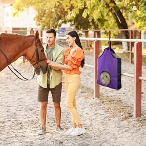 HIRQUITICKE Premium Durable Horse Slow Feed Hay Bag with Metal Snap Fastener and Heavy Adjustable Strap