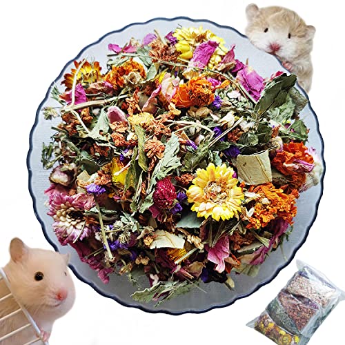 BUSOIYOU Natural Floral and Herbal Hamster Cage Decoration Supplies - Habitat Decoration for Hamsters, Gerbils, Degus or Other Small Pets (Flowers and Plants)