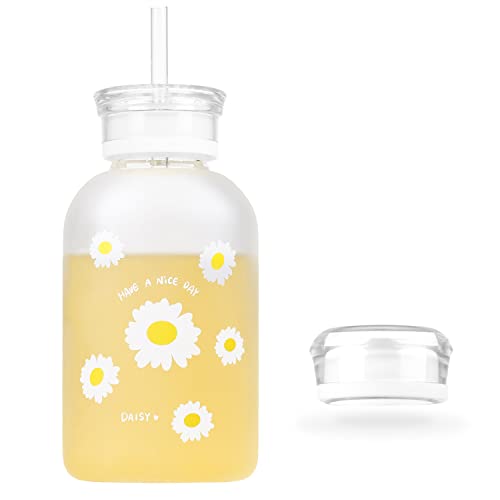 WHJY 16oz Cute Water Bottle, Matte Glass Water bottle with Straw, Milk Juice Glass Water Bottle with Scale, with 2 Lids, Little Daisy Sunflower Matte Portable Water Cup - Matte 6 Sunflowers