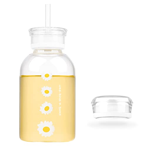 WHJY 16oz Cute Water Bottle, Matte Glass Water bottle with Straw, Milk Juice Glass Water Bottle with Scale, with 2 Lids, Little Daisy Sunflower Matte Portable Water Cup - Clear 4 Sunflowers