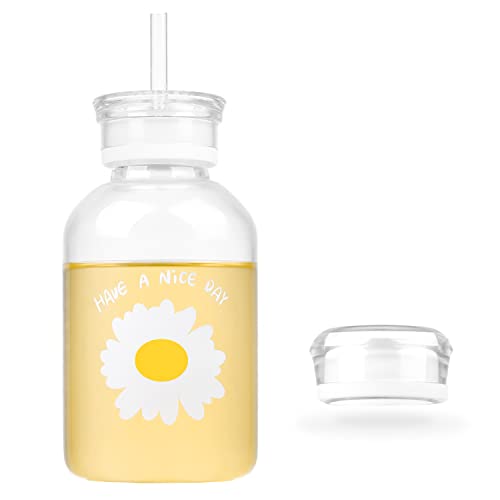 WHJY 16oz Cute Water Bottle, Matte Glass Water bottle with Straw, Milk Juice Glass Water Bottle with Scale, with 2 Lids, Little Daisy Sunflower Matte Portable Water Cup - Clear Sunflower