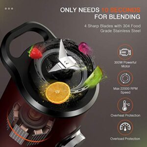 Personal Blender for Shakes and Smoothies, NIXIUKOL 3 Speed Adjustable Smoothie Blender, Small Portable Blender with 2 10oz & 20oz Tritan BPA-Free Cups