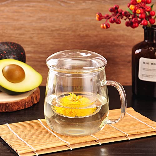 WHJY Glass Tea Cup with Infuser and Lid, 18 ounce Glass Tea Cups with Strainer, Loose Leaf Tea Cup Mug for One, Lead-free Borosilicate Glass Teacups, Heat Resistance, Microwave & Dishwasher Safe