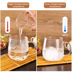 WHJY Glass Tea Cup with Infuser and Lid, 18 ounce Glass Tea Cups with Strainer, Loose Leaf Tea Cup Mug for One, Lead-free Borosilicate Glass Teacups, Heat Resistance, Microwave & Dishwasher Safe