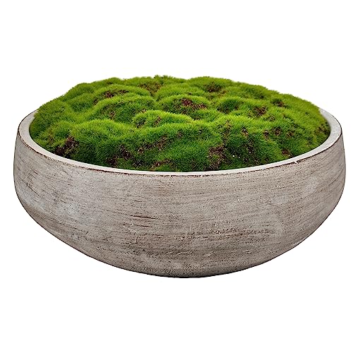 Macomine Design Newly Released Moss Bowl |12" Diameter | Artificial | Hand-Painted Cement Bowl | Home Décor