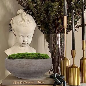 Macomine Design Newly Released Moss Bowl |12" Diameter | Artificial | Hand-Painted Cement Bowl | Home Décor