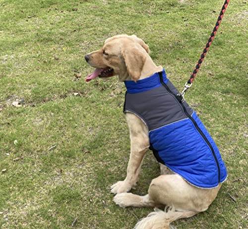 Fleece Lining Warm Dog Coats Padded Vest with D Ring Waterproof Reflective Puppy Jacket for Small Medium Large Dog Winter Coat Clothes Zip Up Apparel for Cold Weather (XL, Blue)