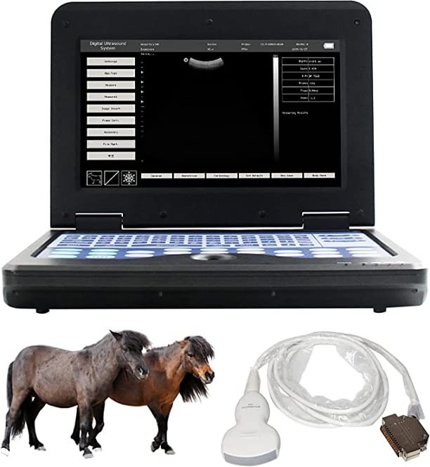 Portable Vet Veterinary B-Ultrasound Scanner，for Pregnancy，with Convex Probe for Horse,Goat,Cow,Sheep and Pig, CMS600P2 Vet CONTEC(Convex Probe)