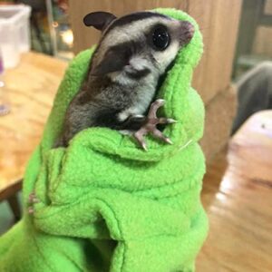 eastvita sugar glider bonding mitt small animals handling anti-bite gloves pet supplies for sugar glider squirrel hamster green