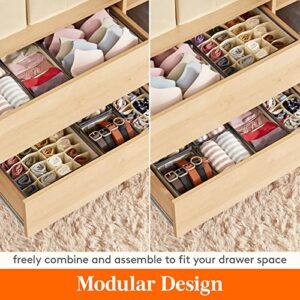 Lifewit 12 PCS Drawer Underwear Organizers, Bundle with 2 Pack Sock Organizers, Grey