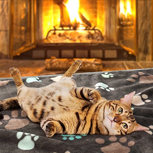 3 Pack Dog Blanket Soft Warm Flannel Cat Blanket, Great Pet Throw for Cats,Puppy,Small Medium Large Dog, 30 x 20 Inches