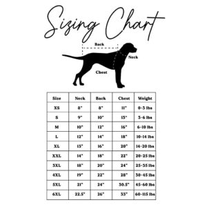 Lifeguard Dog Tee Shirt Sizes for Puppies, Toys, and Large Breeds (53 Red, X-Small)