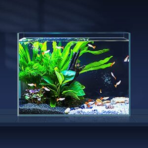 laqual 3 gallon ultra clear glass fish tank, rimless low iron aquarium for betta/nano/goldfish/snail/shrimp, small fish tank with fish net & cleaning tools