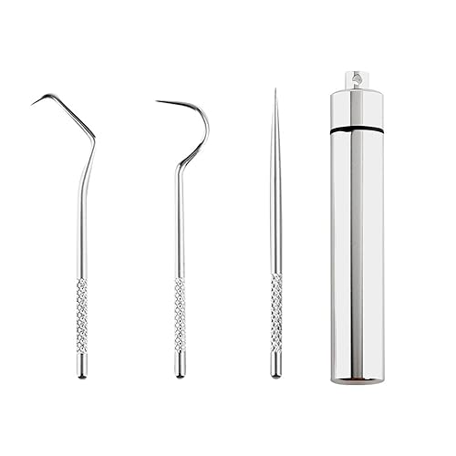 Dental Tools Dental Hygiene Cleaning Kit: Professional Dental Hygiene Cleaning Kit, Professional Plaque Remover for Teeth, Dental Pick Scaler Oral Care Tools Set 3pc - with Case