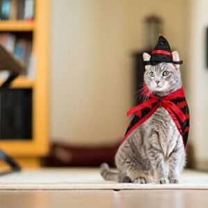 Heureppy Halloween Cat Costume Cloak Witch Hat Accessories Adjustable Bats Pet Clothes Set, Pat for Cats Dogs Animal Carnival Party Supplies