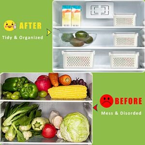 WBKTOOL Fruit Storage Containers for Fridge, 3 Pack Vegetable Container Produce Saver with Drain Colanders + Lids, Berry Containers Salad Lettuce Food Fresh Keeper for Refrigerator Organizer