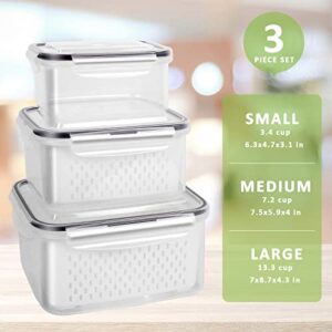 WBKTOOL Fruit Storage Containers for Fridge, 3 Pack Vegetable Container Produce Saver with Drain Colanders + Lids, Berry Containers Salad Lettuce Food Fresh Keeper for Refrigerator Organizer