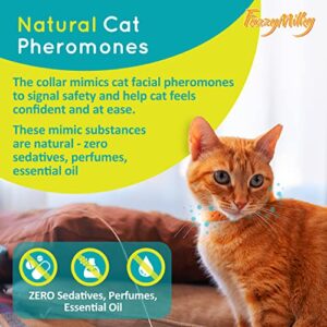 Fuzzymilky Cat Calming Collars - 4 Packs Cat Collar Infused with Synthetic Pheromones (Orange) - Cat Pheromone Diffuser Necklace for Anxiety Relief, Keeping Kitty Quiet