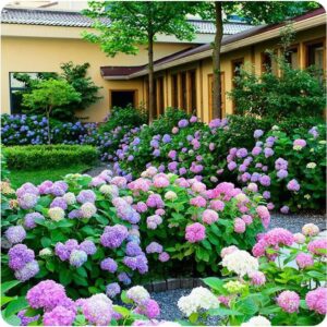 Mixed Hydrangea Seeds Flowers for Planting Non-GMO Home Garden Mixed Colors (100+)