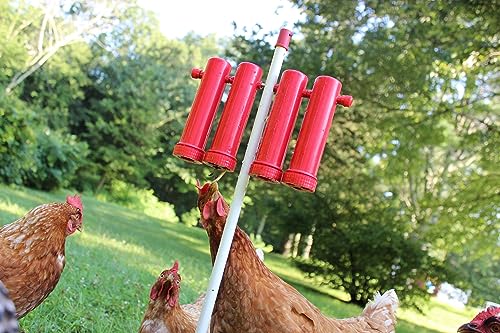 RentACoop Chicken Treat Dispenser - Suitable for Small and Large Treats - Includes Post for Indoor and Outdoor Placement - Large Size with 4 Tubes