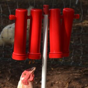 RentACoop Chicken Treat Dispenser - Suitable for Small and Large Treats - Includes Post for Indoor and Outdoor Placement - Large Size with 4 Tubes