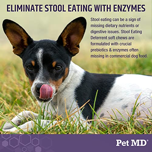 Pet MD Stool Eating Deterrent - Prevent Dog from Eating Poop - Coprophagia Aversion with Enzymes, Herbs, & Prebiotics for Digestive Support & Fresh Breath - Stop Stool Eating Chews - 60 ct